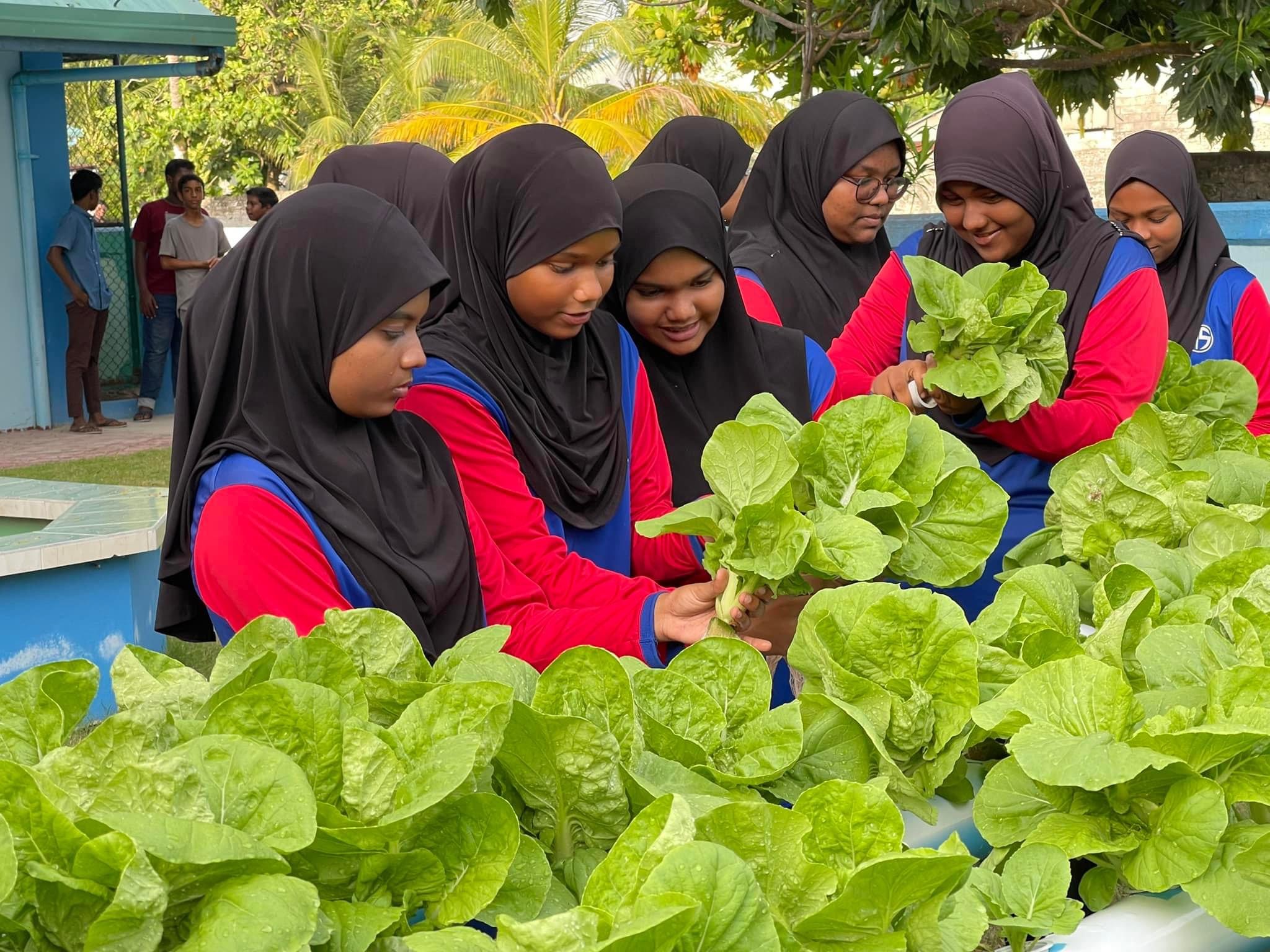 Empowering Women in Shaviyani Atoll Maaungoodhoo, Maldives with ...